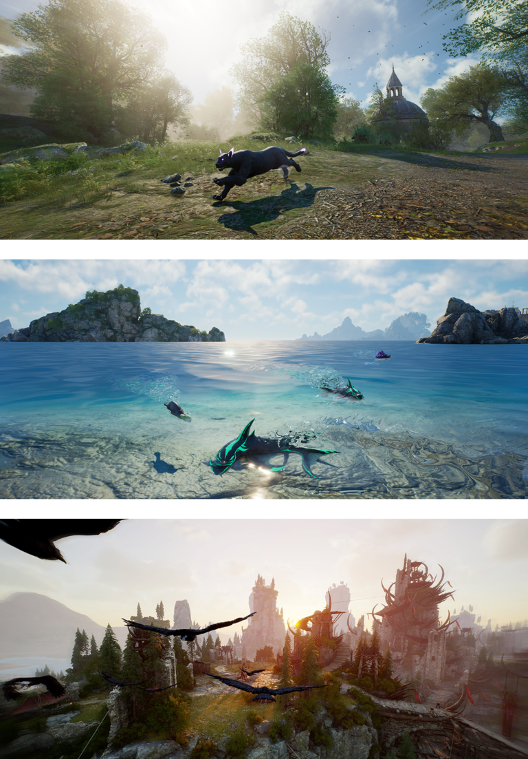 Project TL is now Throne and Liberty, Interview with the Developers ...