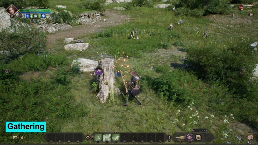 Throne and Liberty - New Images, interface and more - Throne and Liberty